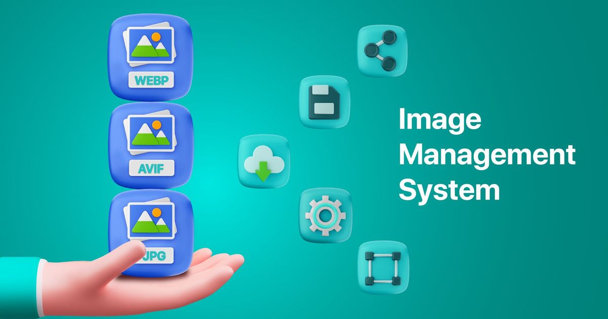 Why Every Business Needs An Image Management System