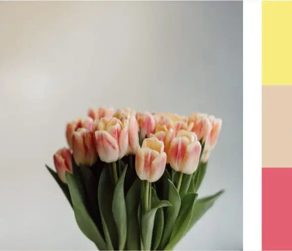 Kombinasi Warna yang Aesthetic untuk Desain