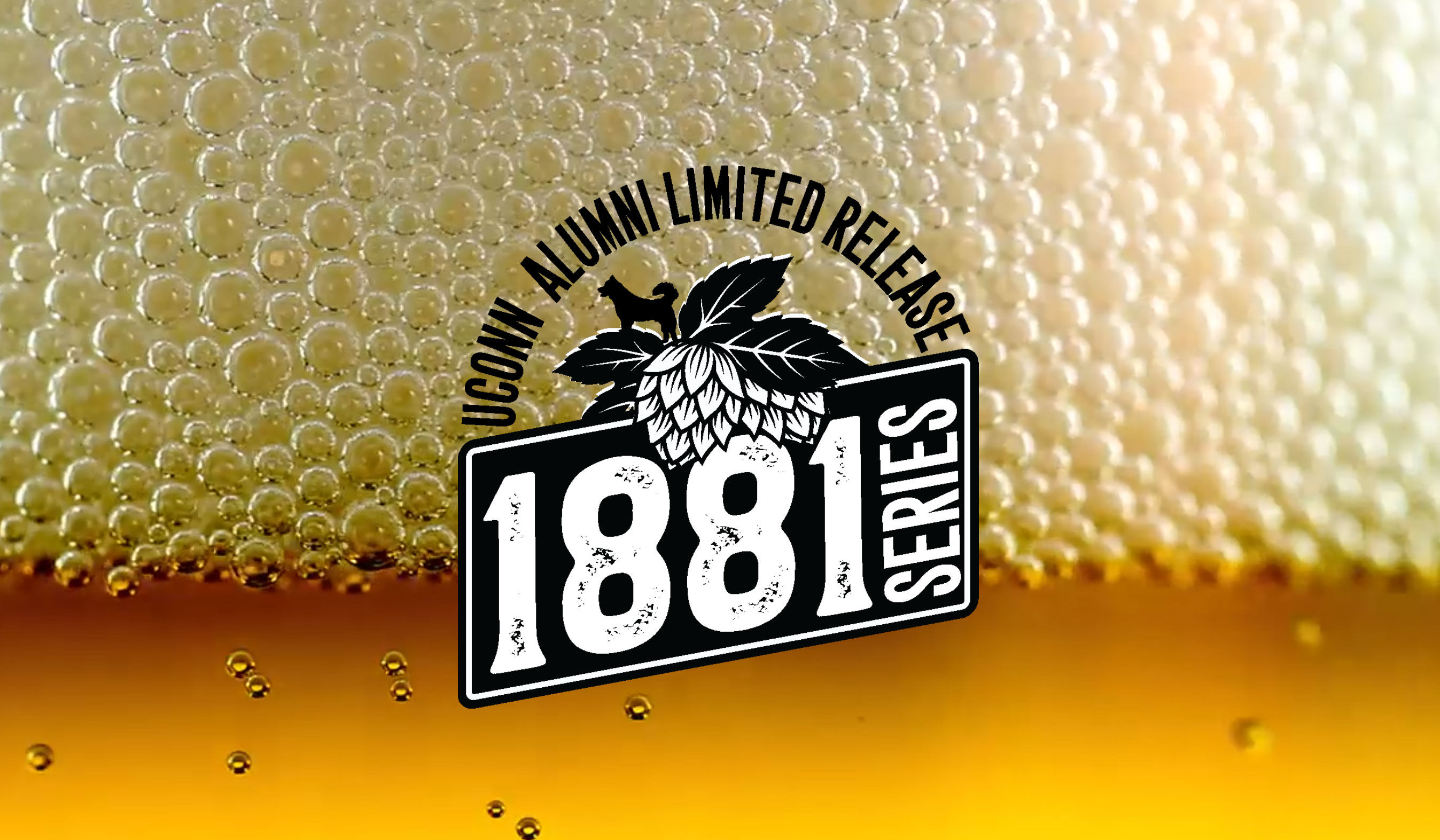 1881 Series Logo/Creative | Rovetti.