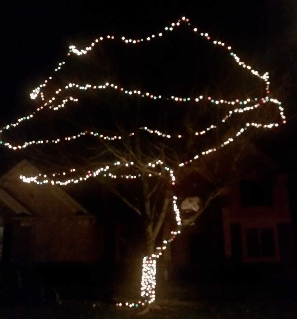 15 Best Ideas Hanging Lights on Large Outdoor Tree