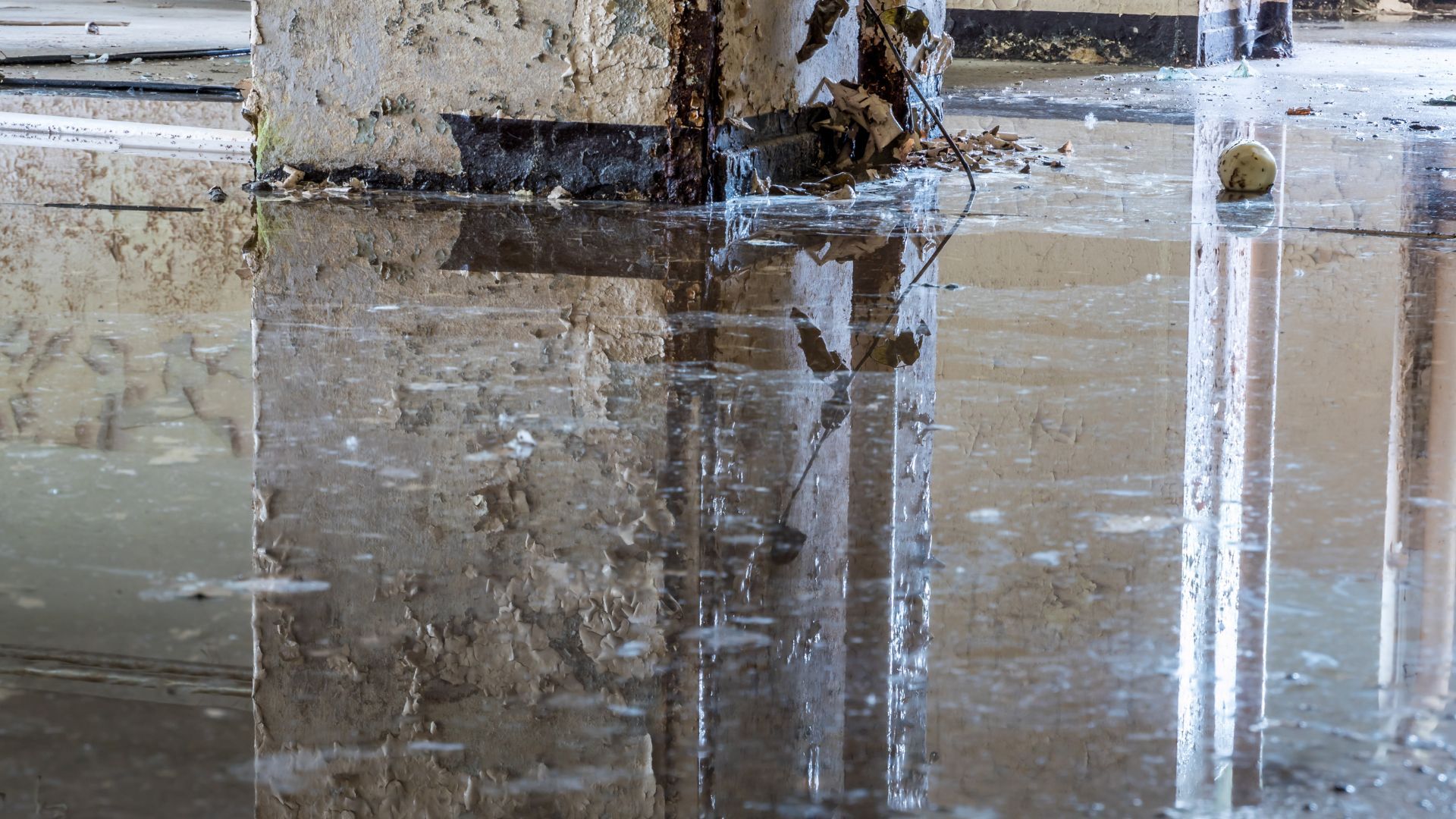 Water Damage Restoration in Upsala, MN | 24/7 Emergency Cleanup & Repair