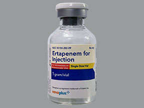 Ertapenem: Uses, Prices, Dosage, Side Effects & More