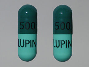 What does Cephalexin look like?