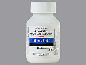 What does Amoxicillin look like?