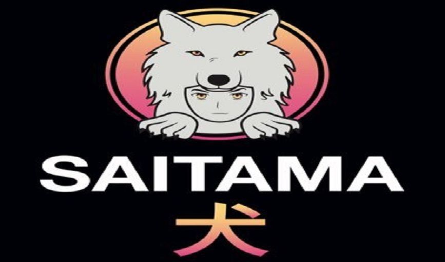 Where to buy the Saitama coin as it roars past its all-time high | Invezz