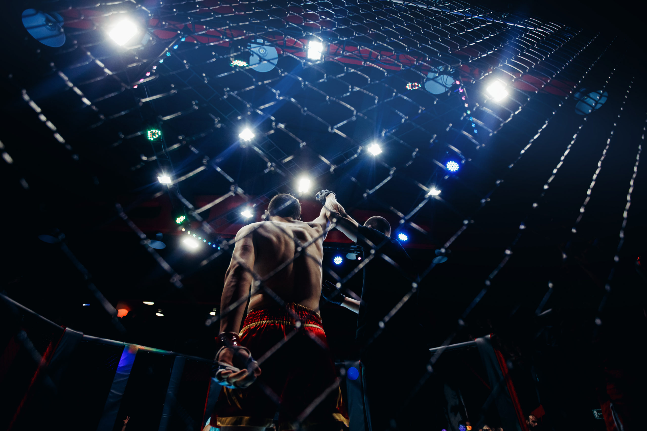 UFC Selects VeChain as its first official layer 1 blockchain partner ...