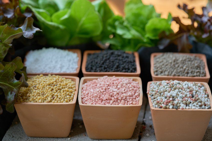 Consider buying the retracement on Nutrien at $80 as EPS grows | Invezz