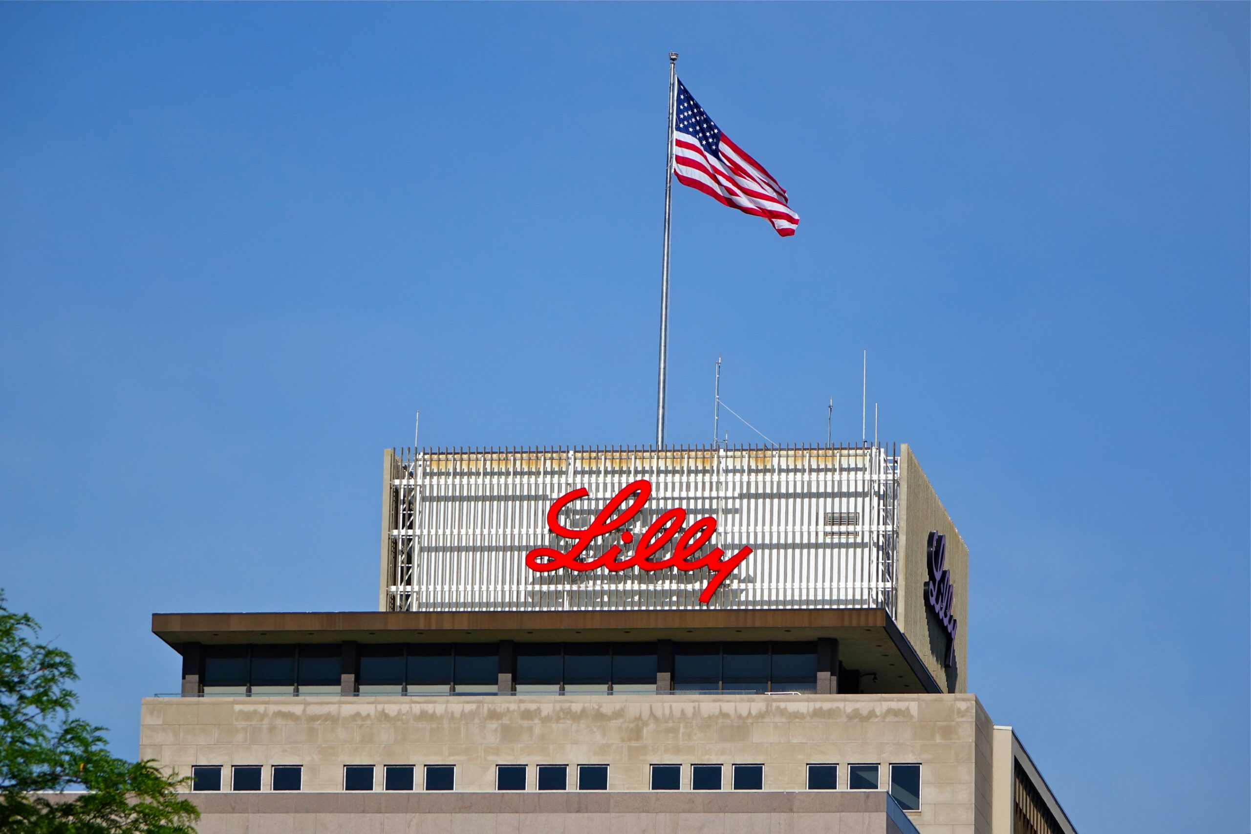 Eli Lilly cuts Q4 sales forecast, but analyst remains bullish on stock ...