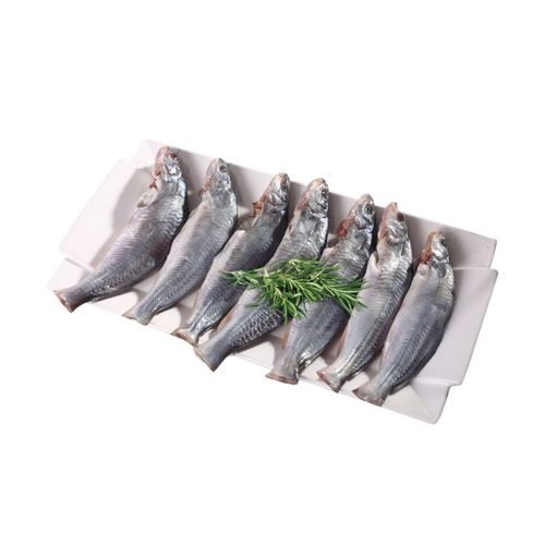 Buy Bengali Fish | Fresh Fish Delivery | My LokalMarket