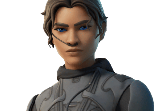 Skin Chani - Skins de Fornite