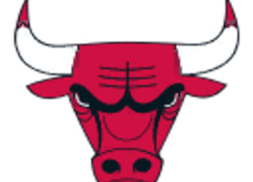 Skin Recuperadora rebotera - Skins de Fornite