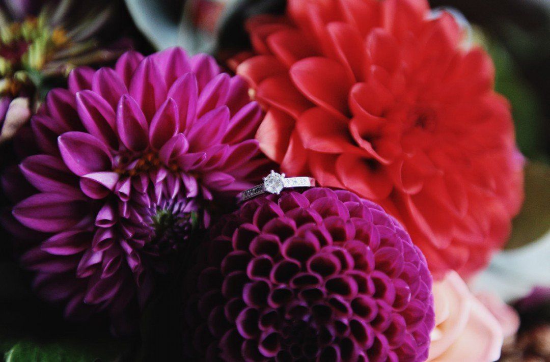 Real wedding - Marli and Reece, Wensleydale VIC - Ivory Tribe