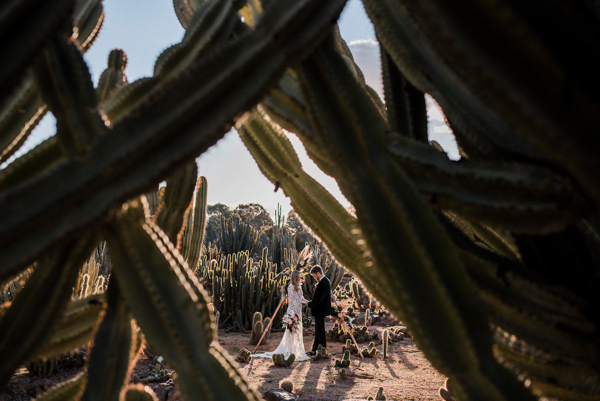 Cactus Country - engagement inspiration - Ivory Tribe