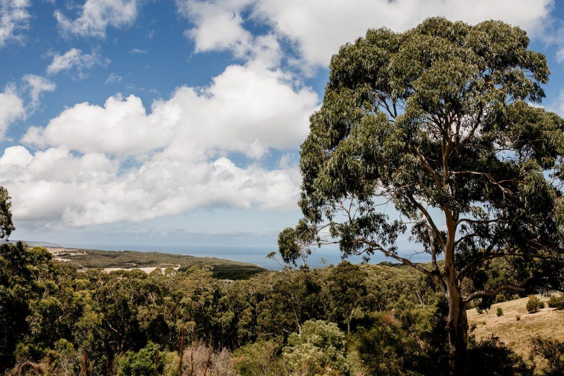 Real Wedding - Jacqui & Brendon, Beech Forest VIC | Ivory Tribe