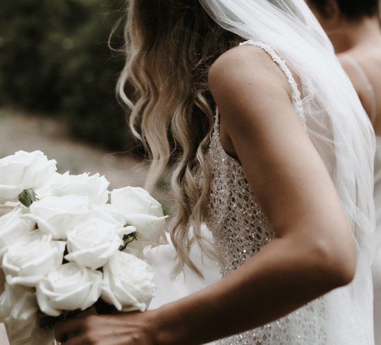 The Tribe - Ivory Tribe