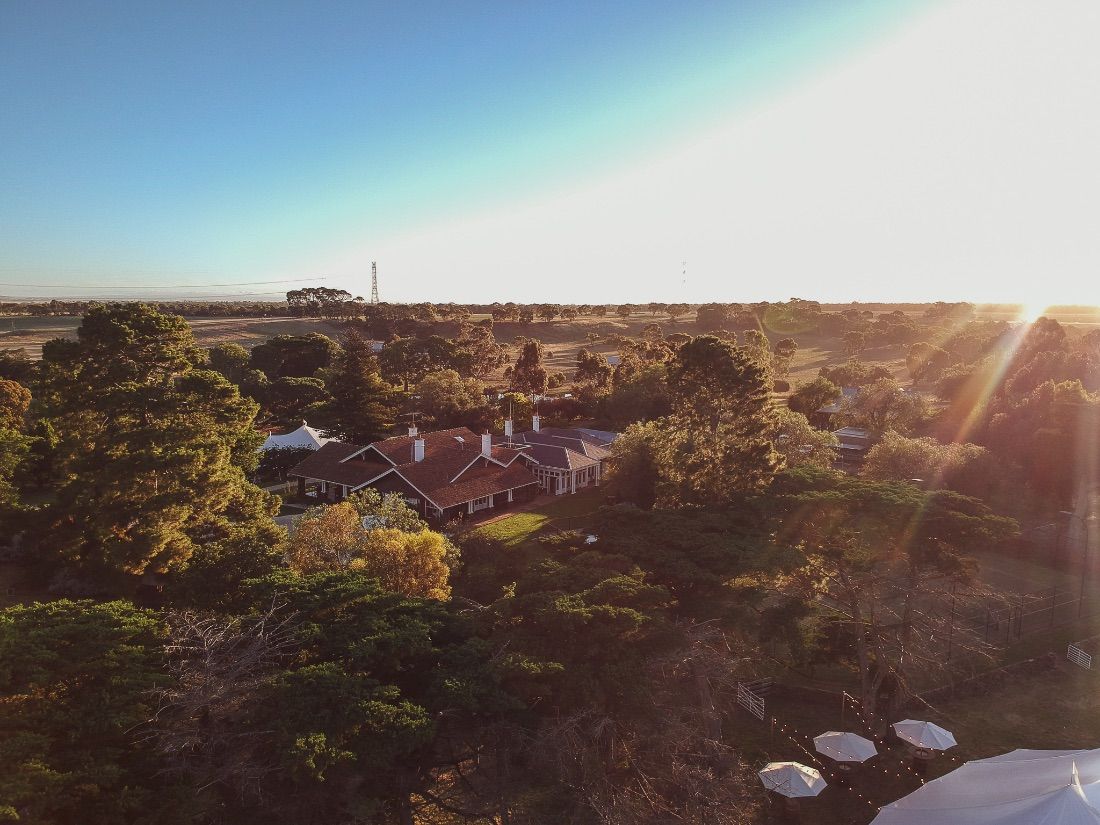 Woolbrook Homestead - Ivory Tribe