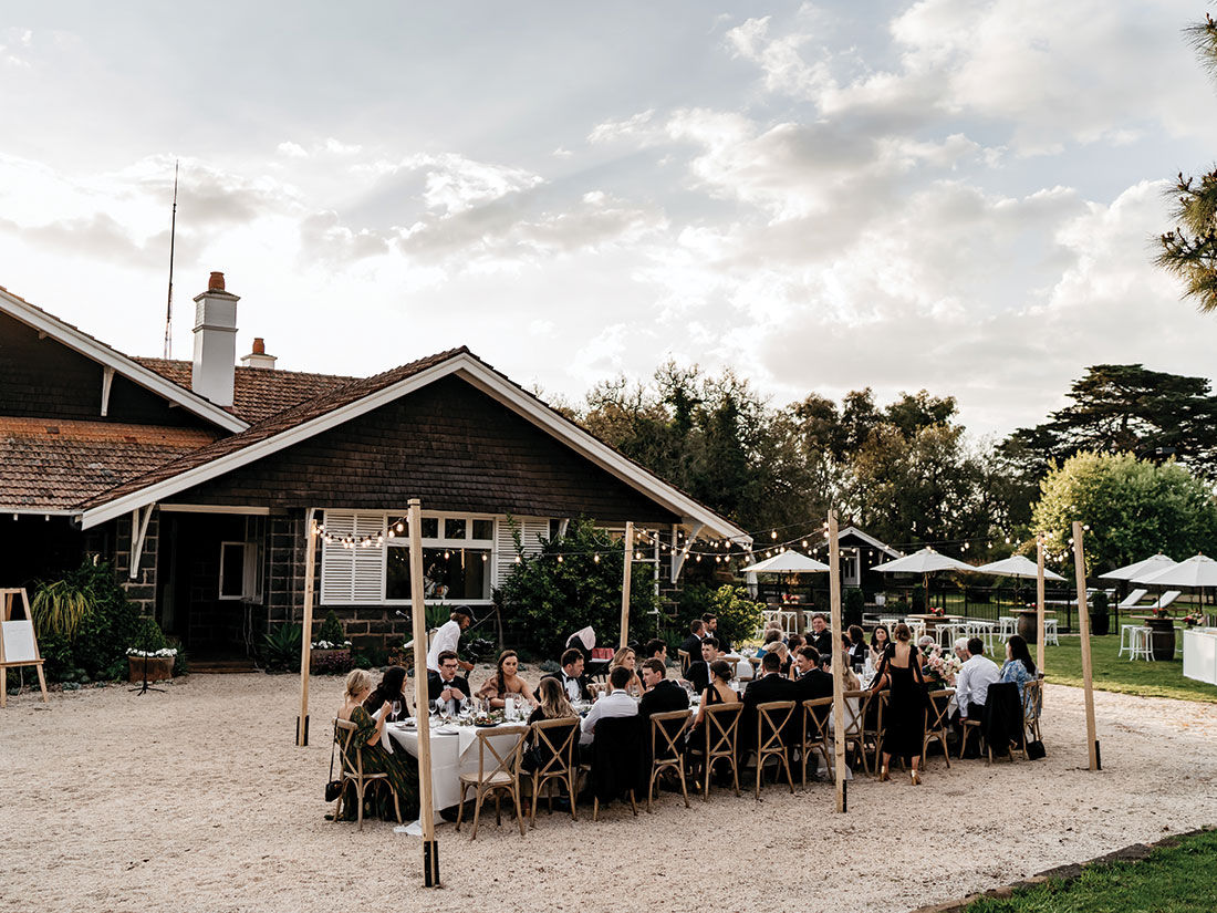 Woolbrook Homestead - Ivory Tribe