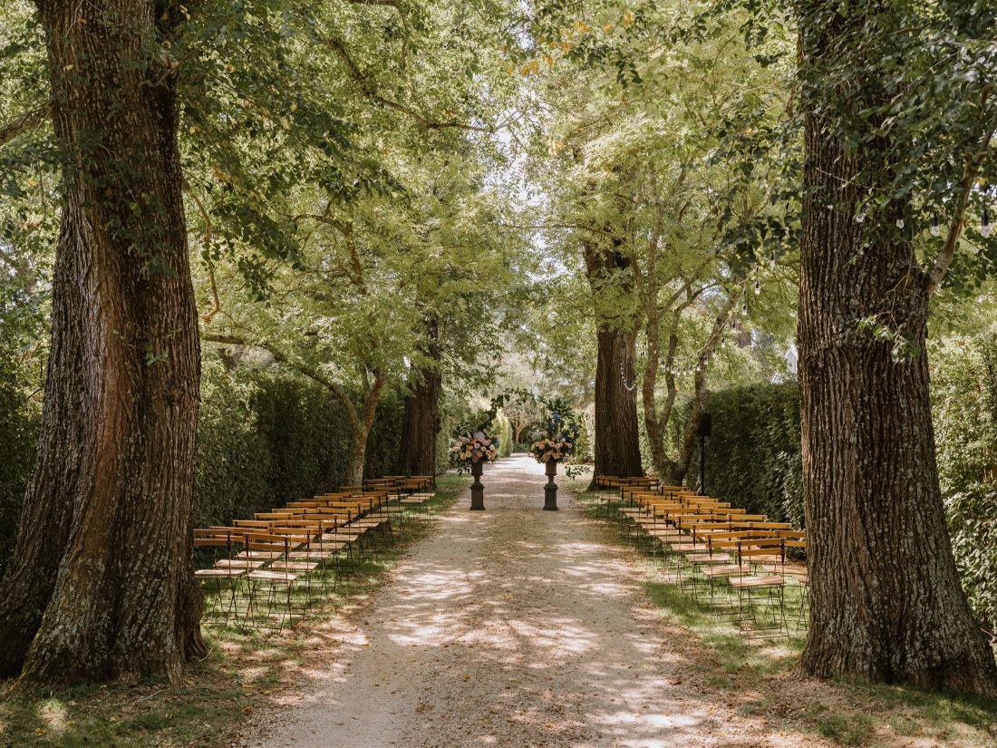 Cadella Park - Ivory Tribe