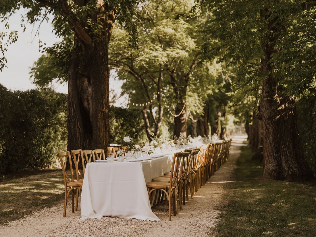 Cadella Park - Ivory Tribe