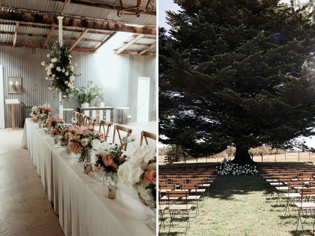 Cadella Park - Ivory Tribe