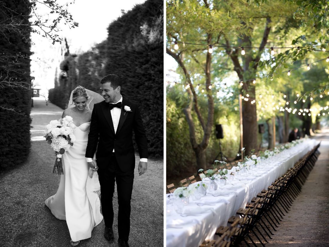 Cadella Park - Ivory Tribe