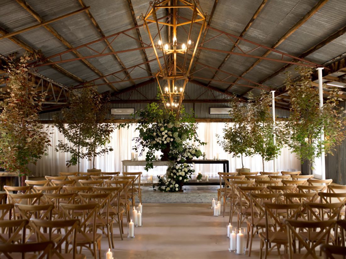 Cadella Park - Ivory Tribe