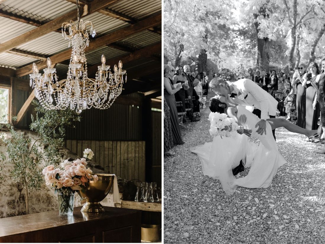 Cadella Park - Ivory Tribe