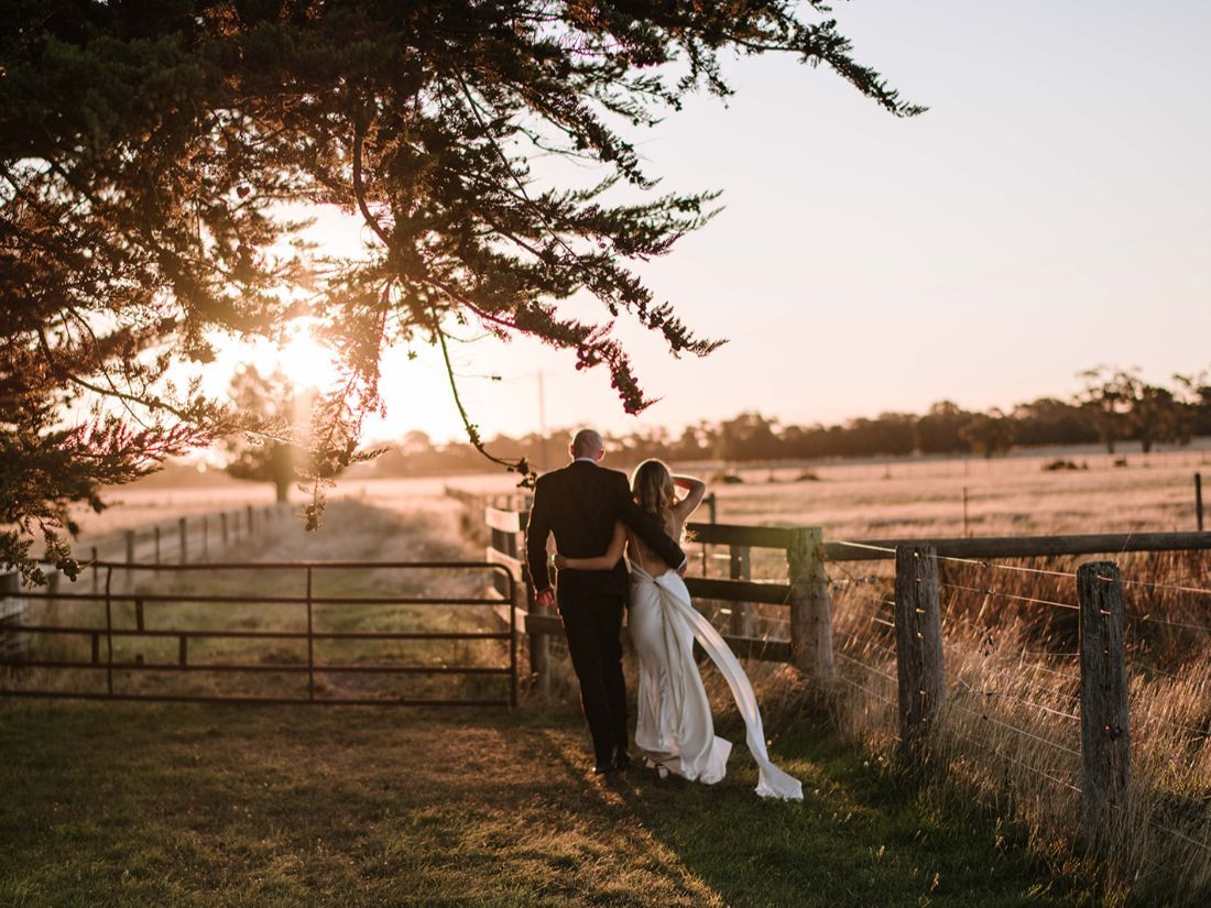 Cadella Park - Ivory Tribe