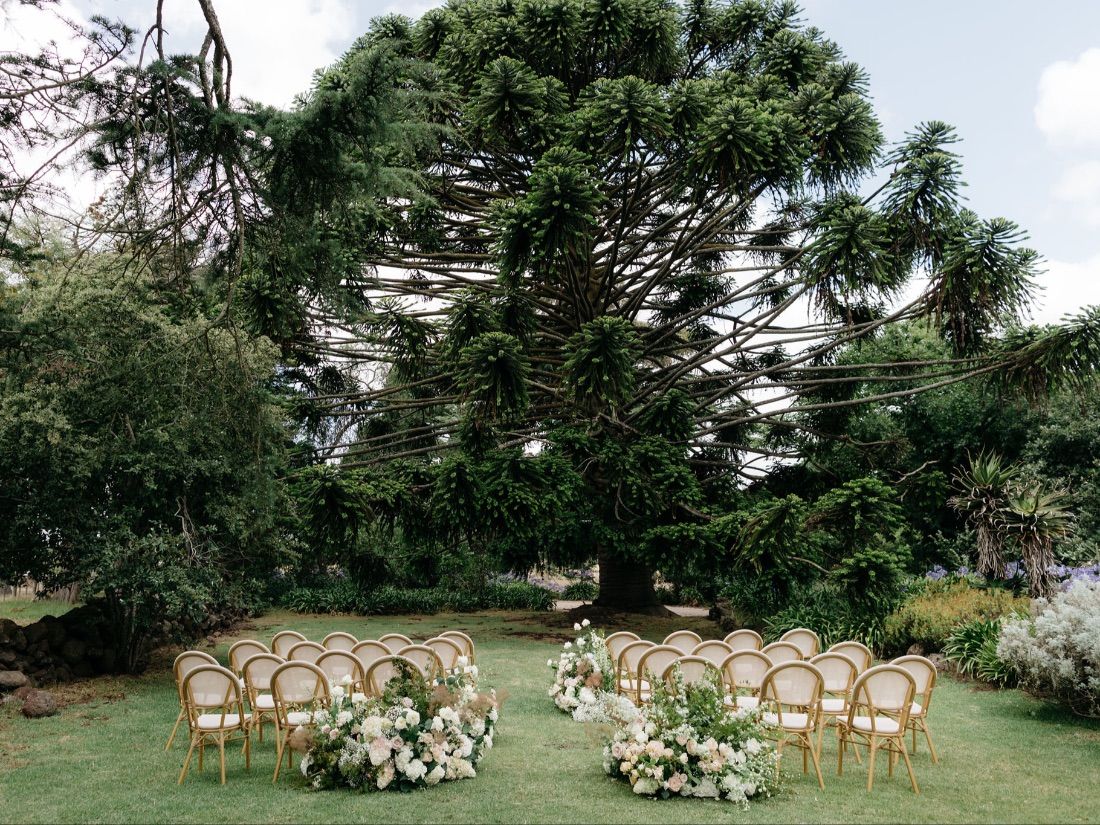 Woolbrook Homestead - Ivory Tribe