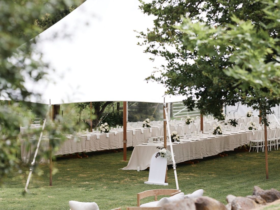 Woolbrook Homestead - Ivory Tribe