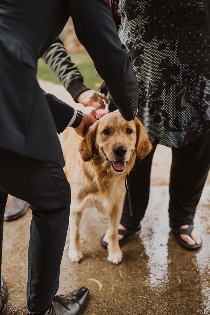 Real Wedding - Fiona & Aaron, Dromana VIC | Ivory Tribe