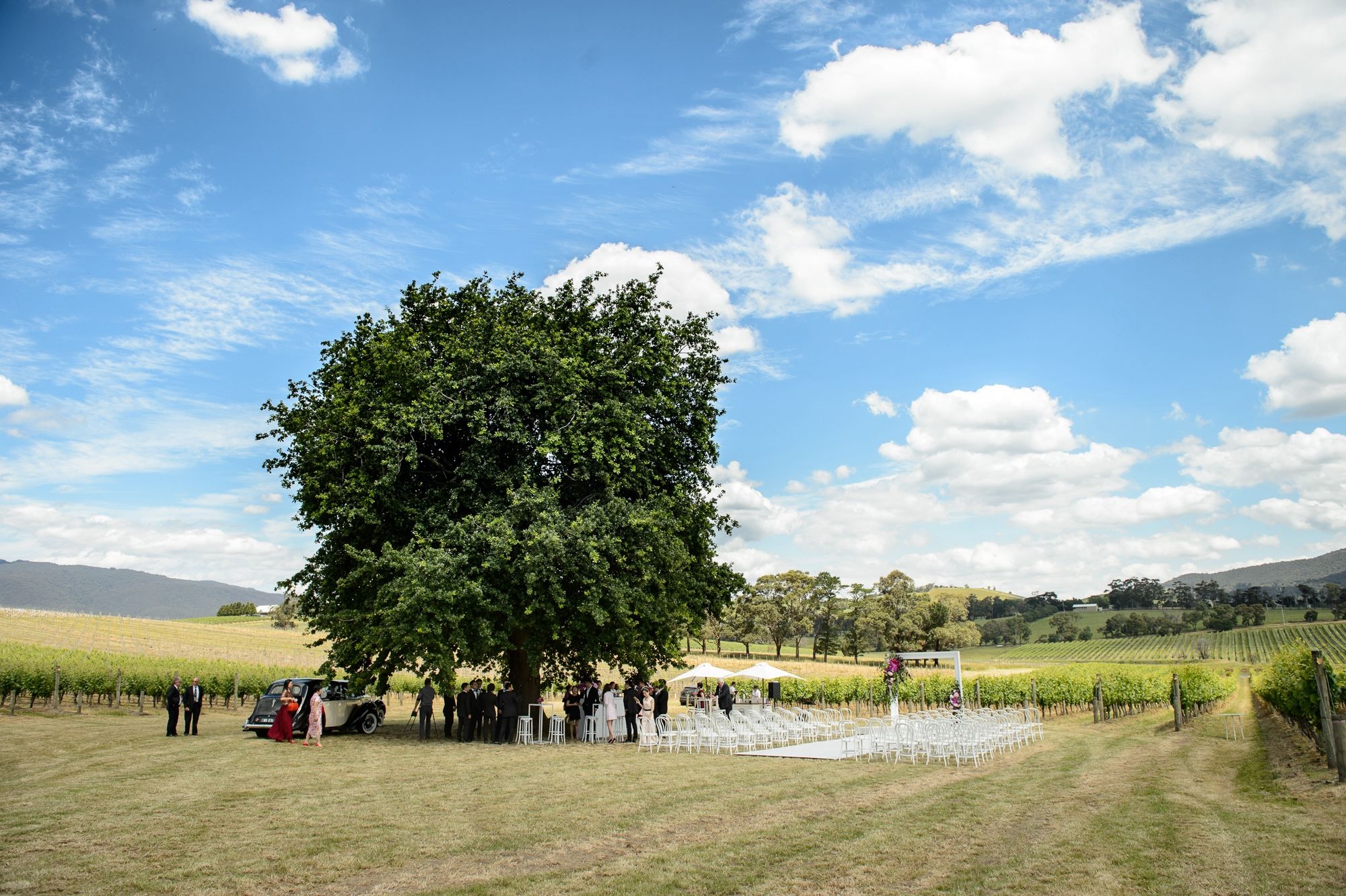 Levantine Hill Estate | Ivory Tribe