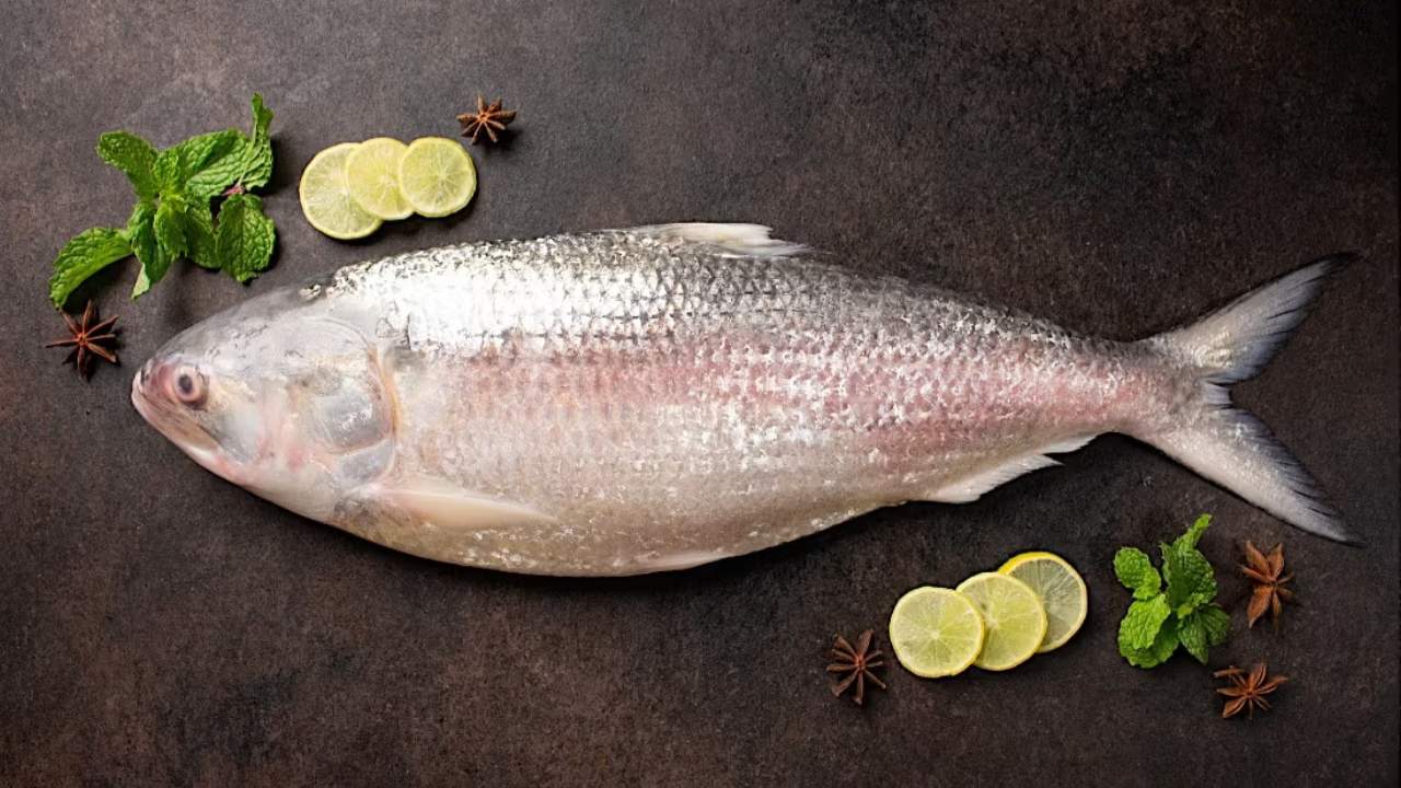 Premium Hilsa: Nutrient-Rich Bengali Favorite