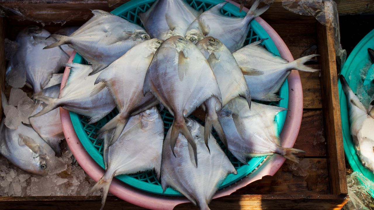 Pomfret Fish – Nutrition, Benefits, Recipes