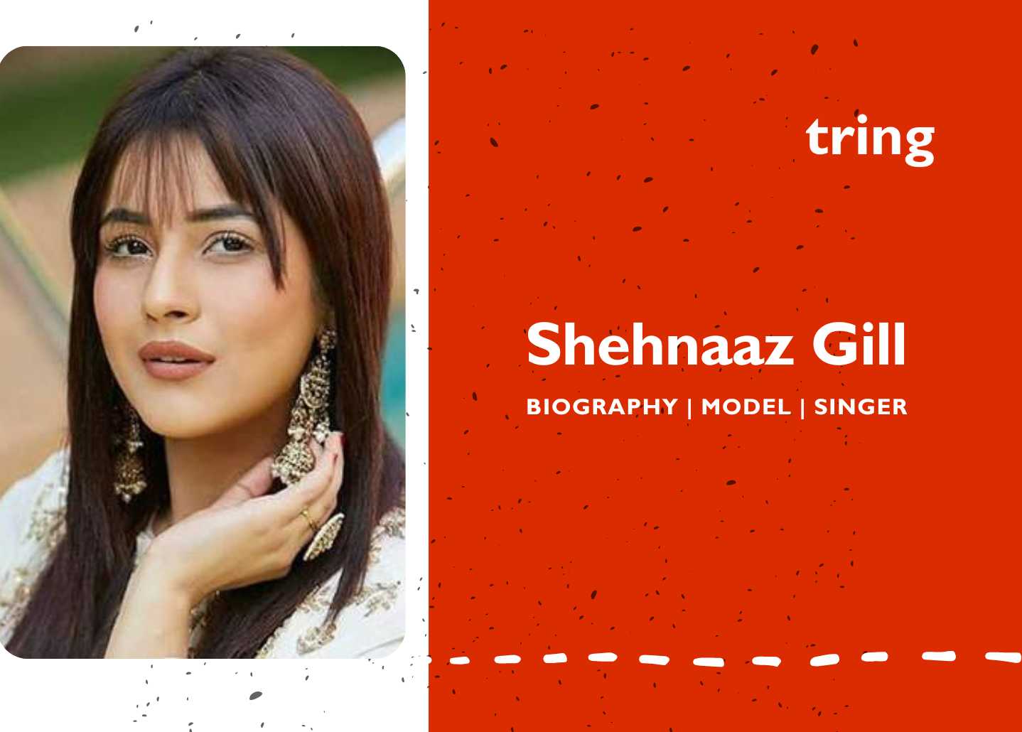 Shehnaz Sheikh Actress Died