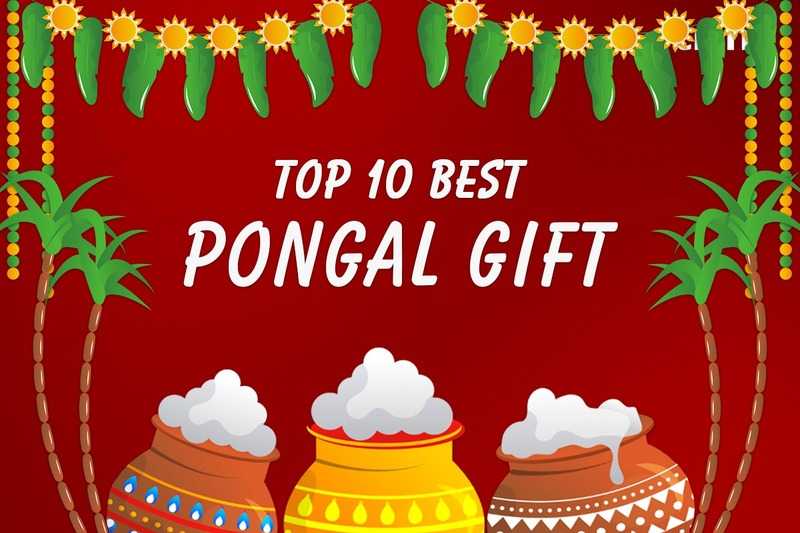 Pongal Gifts Ideas 2023 from Tring India