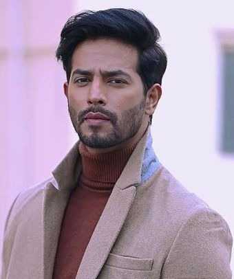 Spy Bahu- Cast, Crew, Story, TRP