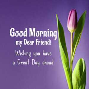 55+ Good Morning Wishes To Greet Your Friend