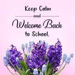 99+ Uplifting Welcome Back Wishes for Colleagues, Friends, and Family