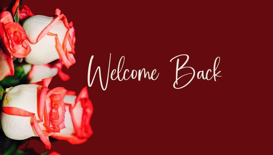 99+ Uplifting Welcome Back Wishes for Colleagues, Friends, and Family