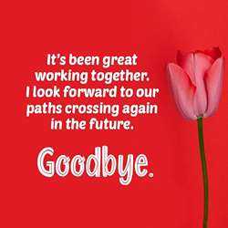 100+ Heartfelt Last Working Day Messages To Help You Say Goodbye