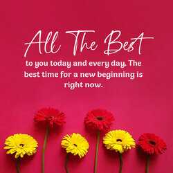 100+ Good Luck on Your New Journey Wishes & Messages