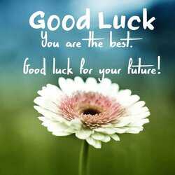 100+ Good Luck on Your New Journey Wishes & Messages