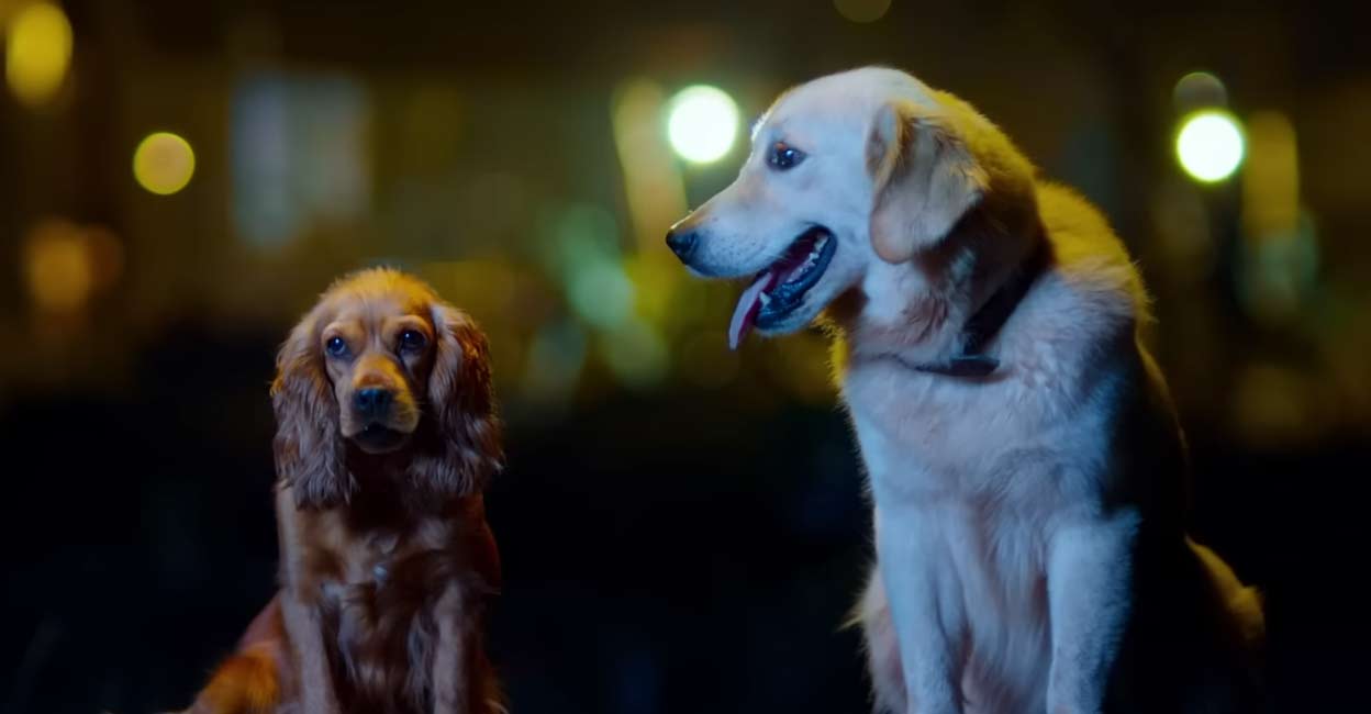 Valatty Year: 2023 Plot, Songs, Cast, Reviews, Trailer and More