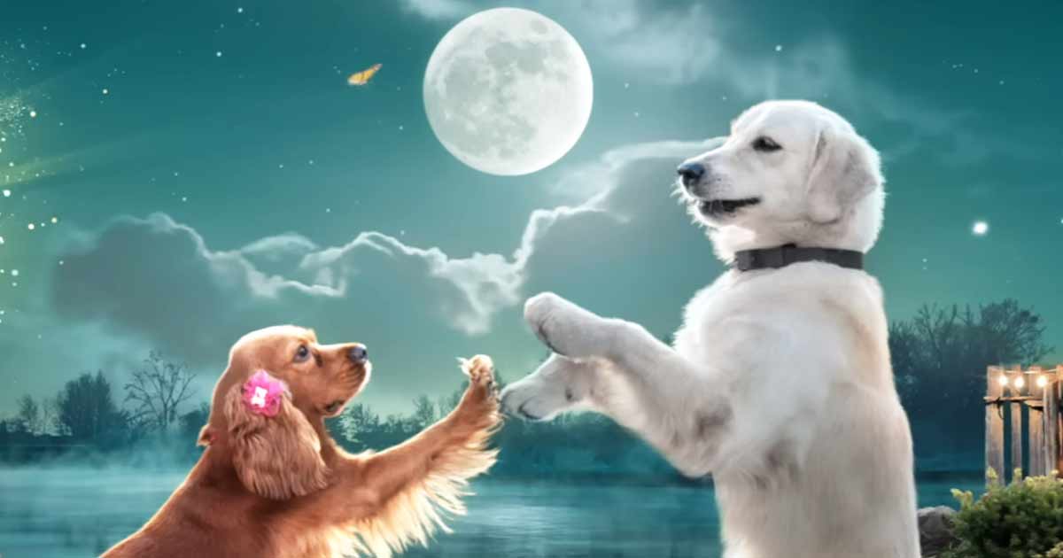 Valatty Year: 2023 Plot, Songs, Cast, Reviews, Trailer and More