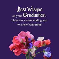250+ Best and Inspiring Convocation Wishes: Make Graduation Special ...