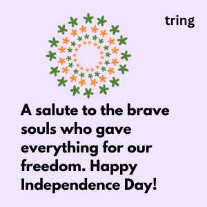 100 Meaningful independence Day Captions For Instagram