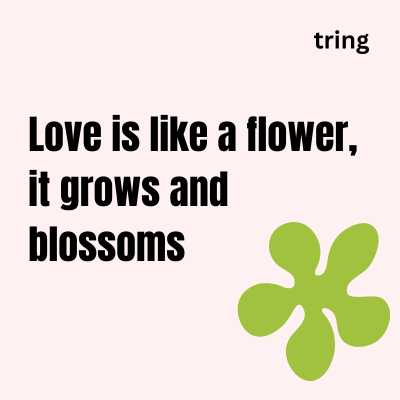 120+ Flower Captions and Quotes For Instagram