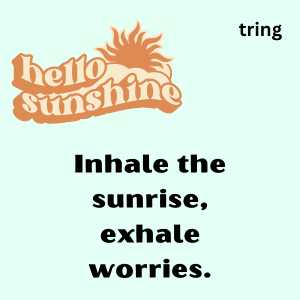 100 Sunshine Captions for Instagram, Radiant Quotes for Your Photos