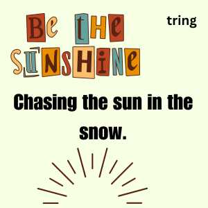 100 Sunshine Captions for Instagram, Radiant Quotes for Your Photos